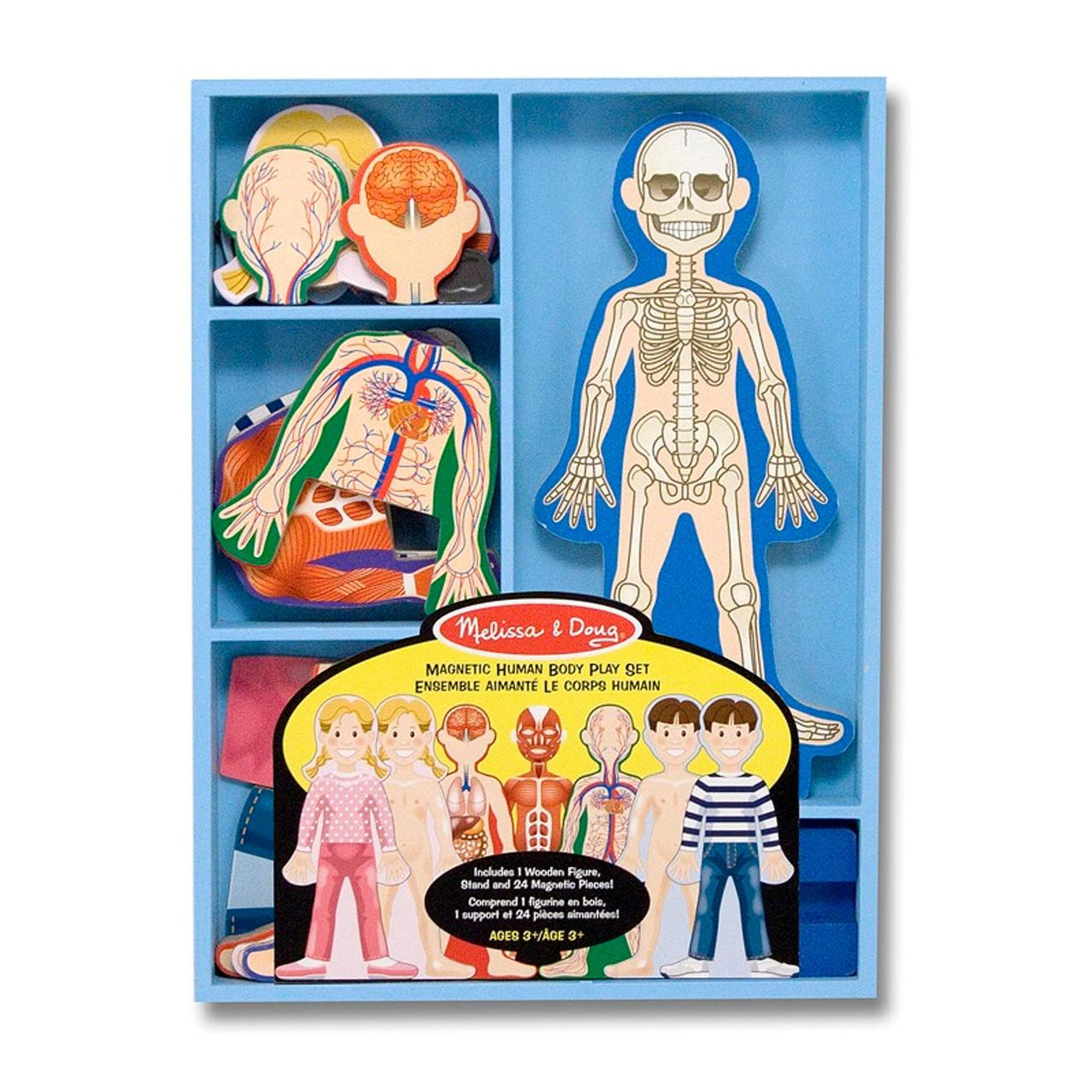 Magnetic Human Body Play Set — Adventure Hobbies & Toys