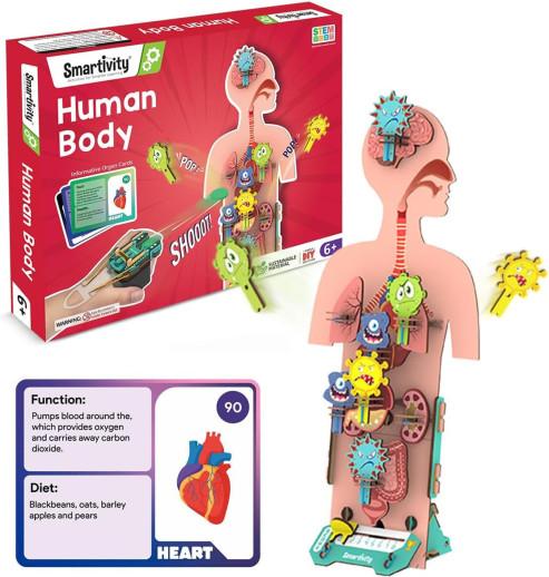Smartivity: Human Body — Adventure Hobbies & Toys
