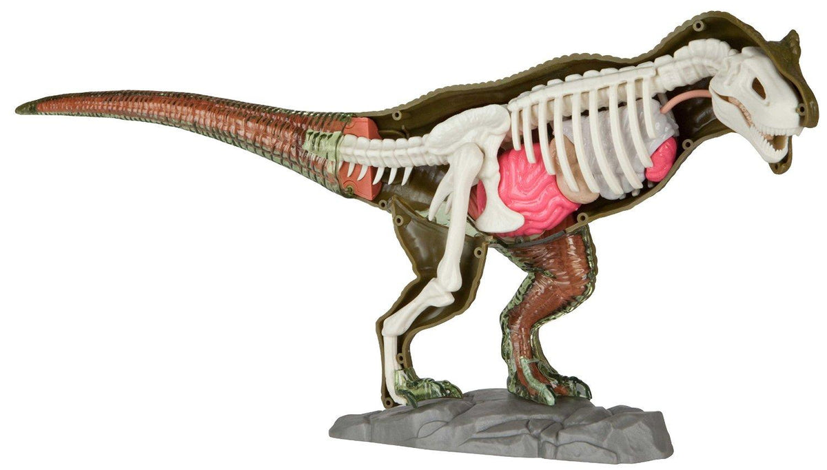 Amazing Squishy T Rex — Adventure Hobbies & Toys