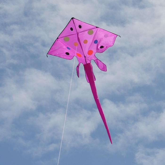 In the Breeze Purple Stingray Delta Kite with Tube Tail — Adventure ...
